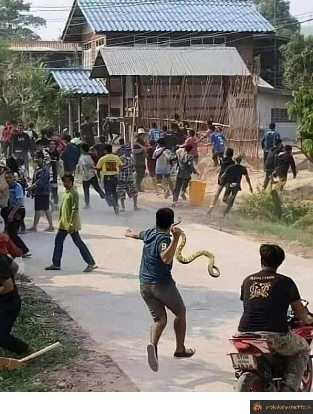 Lancer de serpent